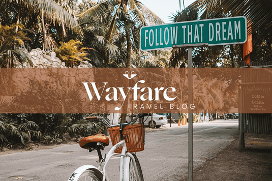 Wayfare Culture | Luggage South Africa | Travel Luggage